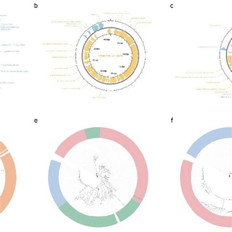 Example Of High Quality Genomes Identified By Virrep And Missed By