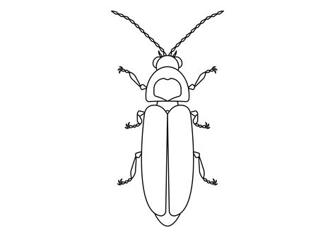 Black And White Firefly Clipart Coloring Page Of A Firefly 29110530 Vector Art At Vecteezy