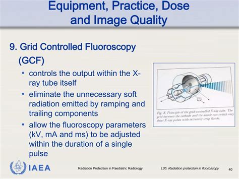 Ppt Radiation Protection In Paediatric Radiology Powerpoint