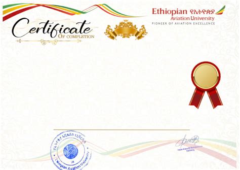 Moei Your Certificate For Moe Initial Online Training Pdf