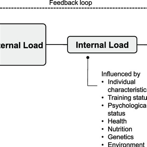 Operational Framework Integrating The Training Process Monitoring And