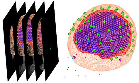 Source SPM Documentation
