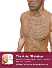 Understanding The Axial Skeleton In A P Lab An In Depth Study Course Hero