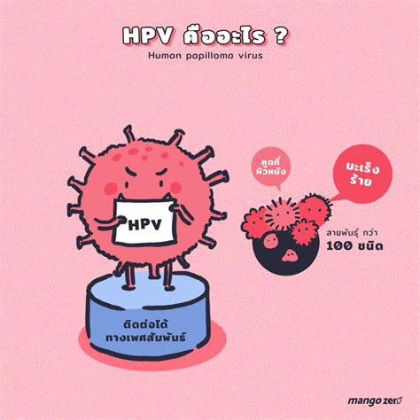 รู้จักกับ Hpv ไวรัสร้ายก่อมะเร็ง