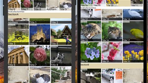 Aiformscollectionview For Xamarinforms Youtube