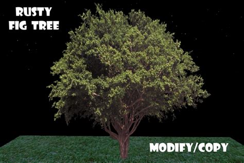 Second Life Marketplace Rusty Fig Tree