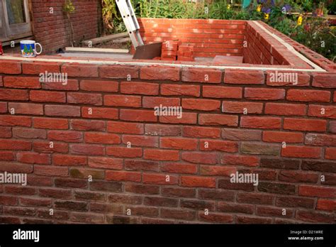 Constructing A Conservatory Dwarf Walls Complete Brigs Placed Frog