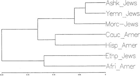 A Population Tree Based On The Genetic Distances Among The Four Jewish