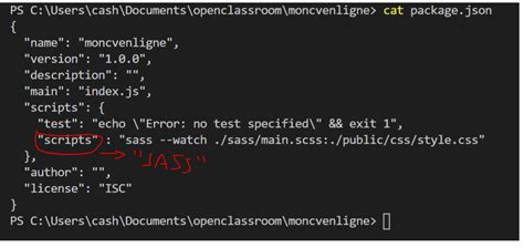 Problème Sass Err Missing Scipt Sass Par Clemencebeliard Page 1