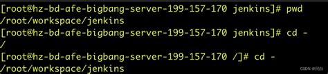linux常用命令（一） 路径切换及查看 linux切换路径 csdn博客