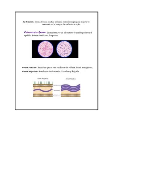Tincion Pdf