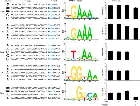 Pam Prediction And Validation Representative Spacers From Each