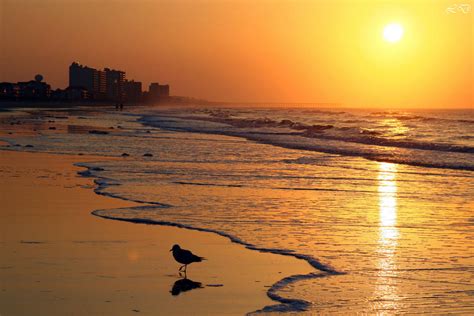 Golden Morning By Doumanis On Deviantart