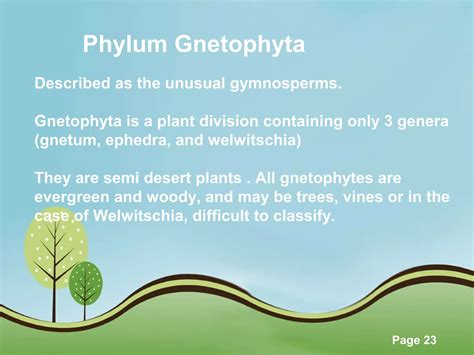 Kingdom Plantae Ppt