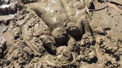 River Of Mud My Babefriend Films Me While I Play In The Ultimate River Of Creamy Mud UMD