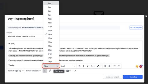 Email Formatting Options