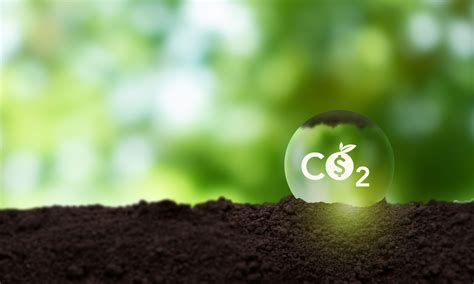 Malaysia Completes First Carbon Credit Auction The Asset