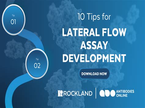 Ten Tips For Lateral Flow Assay Development