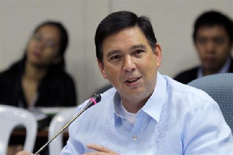 Sen Ralph Recto Suggests Govt Should Use Facebook To Monitor Projects