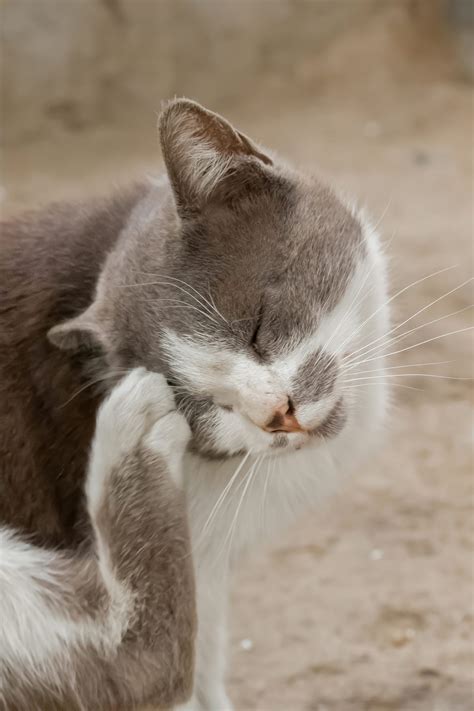 Til 멋사 프론트엔드 플러스 5기 9일차 Clean Architecture By Ori Jun 2025 Medium