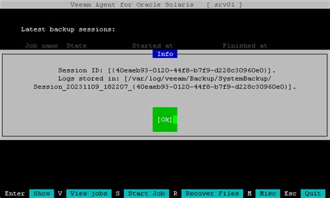 starting backup job from control panel veeam agent for oracle solaris