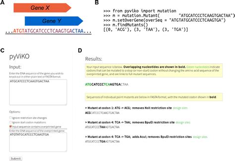 usage of pyviko in stand alone scripts and web interface a schematic