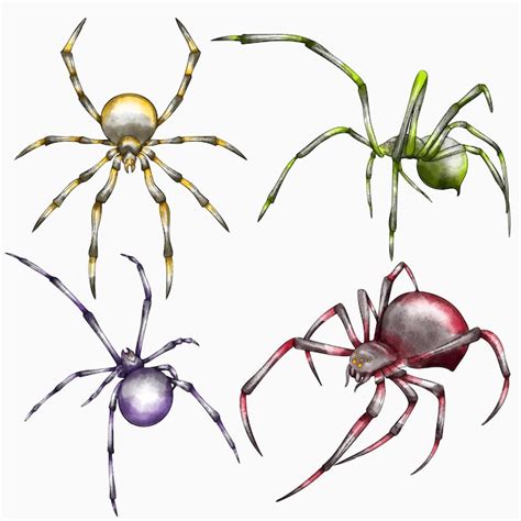 Realistic Spider Drawing 4 289 Realistic Spider Web Stock Vectors And