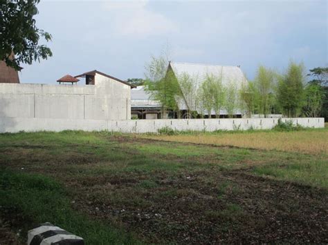 Rice Fields Under The Beautiful Foot Of The Mountain Subang Regency