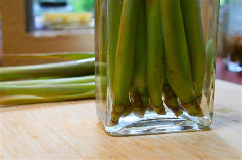 Suited To The Seasons Lemongrass