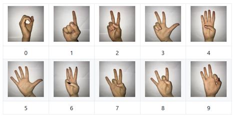 python overfitting on image classification stack overflow