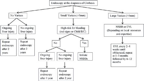 Algorithm For Surveillance And Primary Prophylaxis Of Esophageal Varix