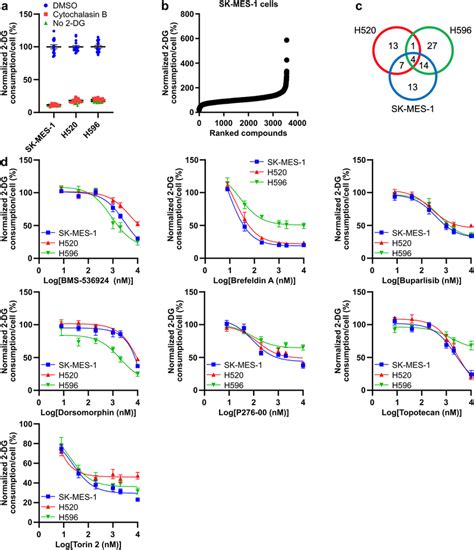 A High Throughput Screen Identifies Small Molecule Inhibitors Of Download Scientific Diagram