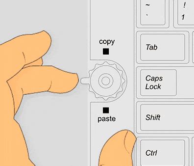 Copy And Paste S Get The Best  On Giphy