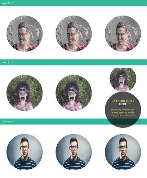 Image Hover Effects For Wpbakery Page Builder By Labibahmed Codecanyon
