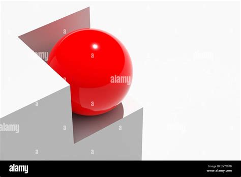 Compatibility Flexibility Harmony Conformity And Adaptation Concepts