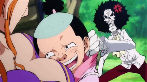Brook One Piece Kouzuki Momonosuke Nami One Piece Nami One