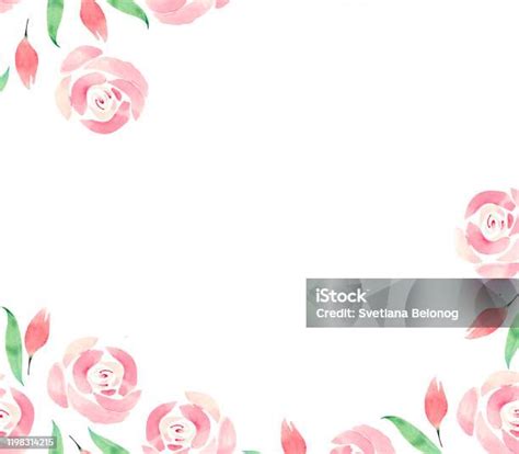 흰색 배경에 섬세한 장미와 녹색 잎수채 엽서 엽서 인사말 초대장 및 디자인 일러스트레이션을 위한 꽃 프레임 엽서 감사에 대한 스톡 벡터 아트 및 기타 이미지 Istock