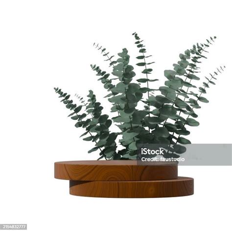 나무 실린더 연단의 투명 한 배경 정사각형 유칼립투스 잎 3d 렌더링 3차원 형태에 대한 스톡 사진 및 기타 이미지 3차원 형태 각도 강단 Istock