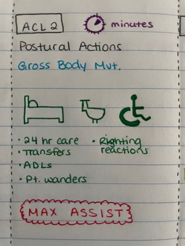 Allen Cognitive Levels Flashcards Quizlet