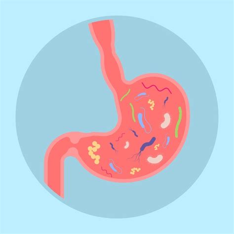 C Diff Over 34 Royalty Free Licensable Stock Vectors And Vector Art Shutterstock