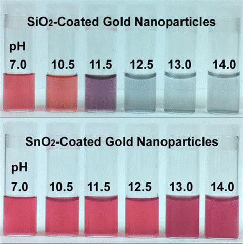 Monodisperse SnO2 Coated Gold Nanoparticles Are Markedly More Stable Than Analogous SiO2 Coated