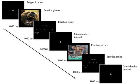 Schematic Of Stimulus Sequence And Timing Of The Task At The Beginning Download Scientific