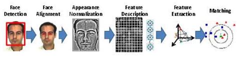Figure 1 From Photograph Retrieval Based On Face Sketch Using Sift With