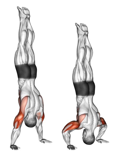 Handstand Push Up Benefits Muscles Worked And More Inspire Us