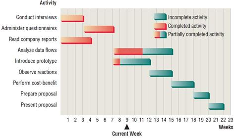activity planning and control project management