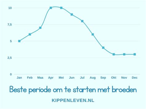 Wat Is De Beste Periode Om Kuikens Uit Te Broeden Kippenleven