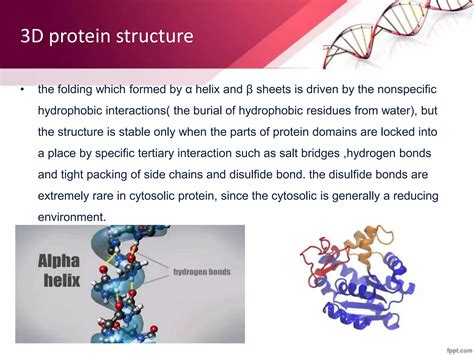 Protein Structure Analysis Pptx Chemistry Science
