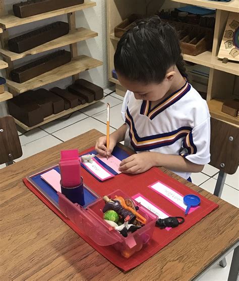Lenguaje Primaria Instituto Montessori Anahuac
