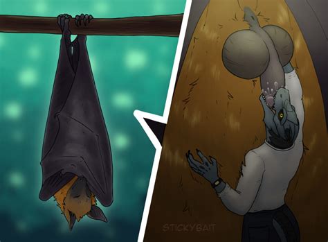 Rule 34 Anthro Anus Balls Bat Black Body Black Fur Black Scales