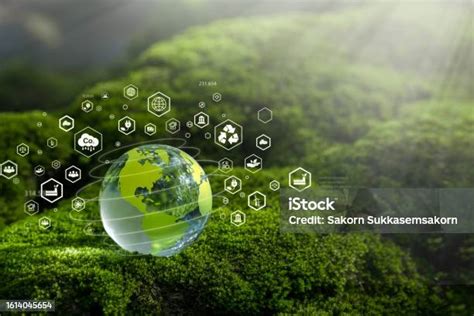 Net Zero 개념 및 탄소 중립 자연 환경 기후 중립 장기 배출 전략 목표 지속 가능성 지구 아이콘 녹색 배경 지속 가능한 자원에 대한 스톡 사진 및 기타 이미지